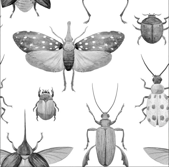 Papel Mural Insectos Grafito – Estudio Cocoon